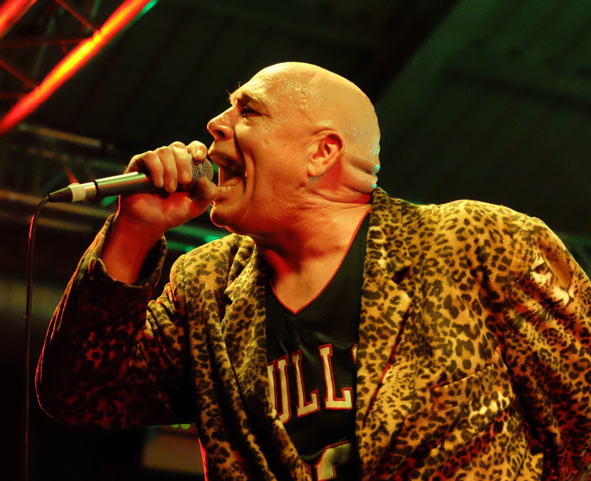 Still walking in the sunshine – celebrating five decades of Bad Manners ...